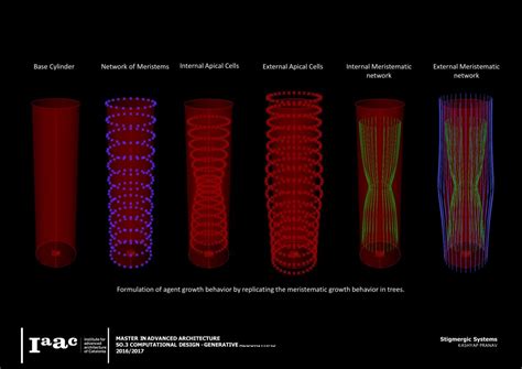 Meristematic Stigmergy Iaac Blog