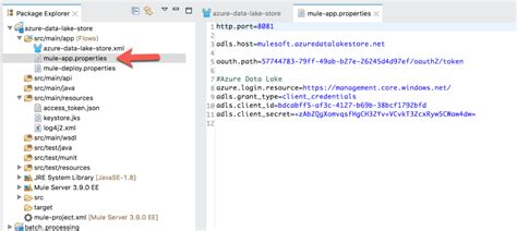 Creating A Customer 360 With Mulesoft And Azure Data Lake Store