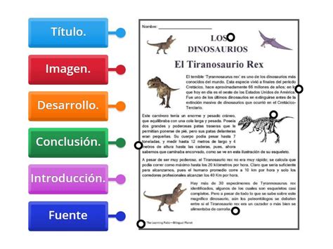 Texto Informativo Estructura Y Elementos Диаграмма с метками