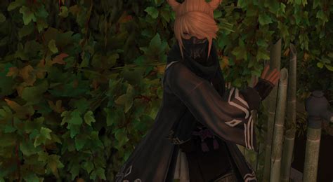 S M Doman Disciple Eorzea Collection