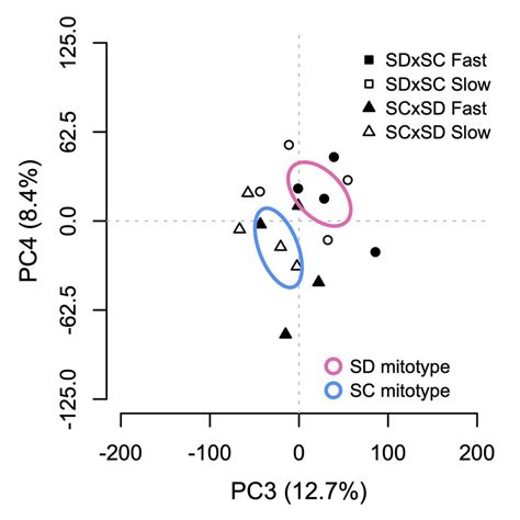 Results From A Principal Component Analysis Of Transcriptome Wide Gene