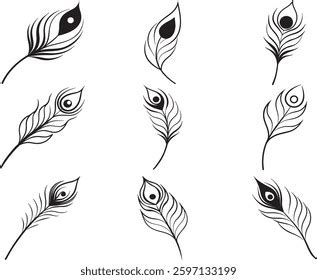 Peacock Feathers Black And White