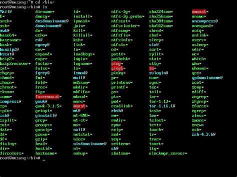 Come Avviare Uno Script All Avvio Di Linux Tuttodinternet