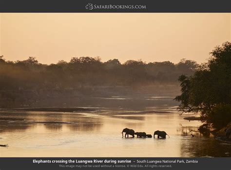 Zambia Photos Award Winning Images And Pictures