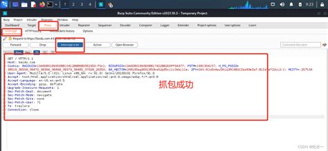burpe suite学习 抓包 burpsuite怎么抓包csdn csdn博客