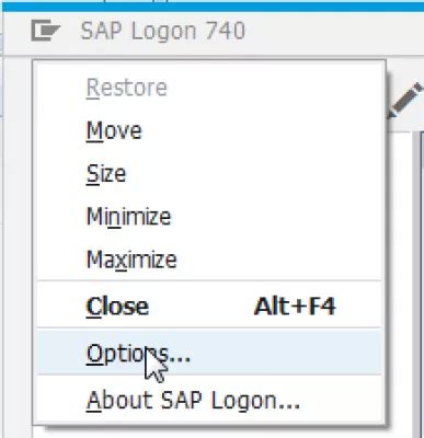 SAP Change Language Of The SAP Interface After Login