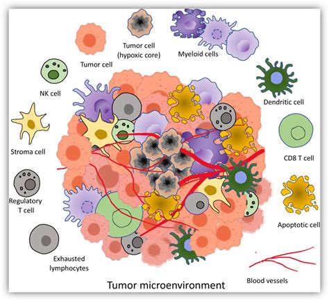 Cancer Biology Basic Understanding Download Ppt