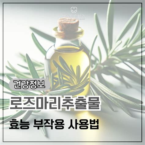 로즈마리추출물 효능 부작용 알고 올바르게 사용해요 네이버 블로그