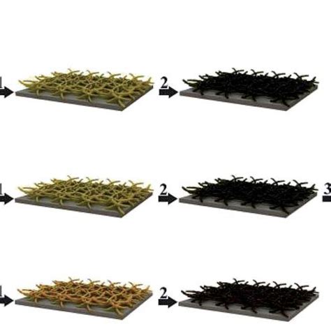 Schematic Representations For The Formation Of Porous Nanostructured Download Scientific