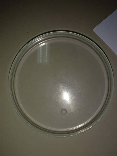 561 questions with answers in encapsulation scientific method