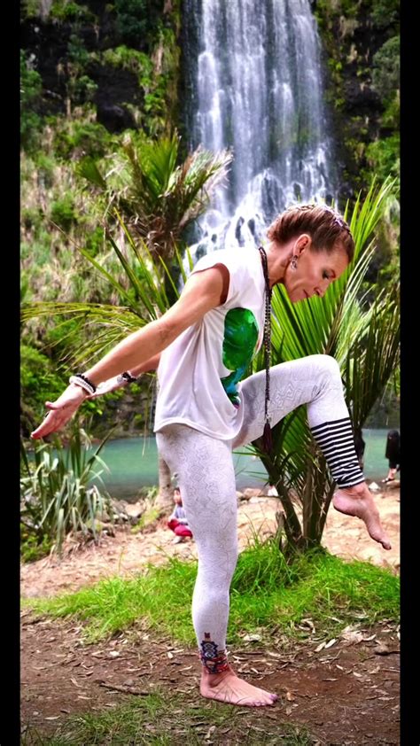 The Role Of The Prefrontal Cortexyour Prefrontal Cortex Is One Of The Most Highly Evolved Parts