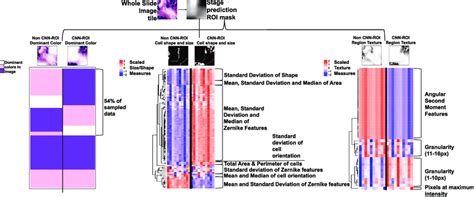 Results For The Qualitative Feature Extraction Dominant Color Cell