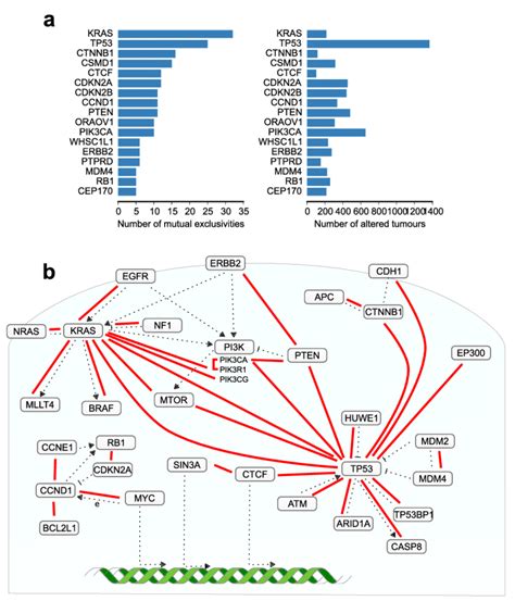 Overview Of Detected Pairwise Mutual Exclusivities A Comparison Of