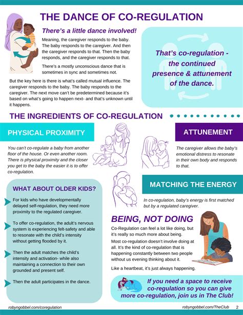 What Does Co Regulation Really Look Like Infographic Robyn Gobbel