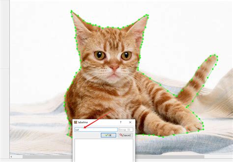 pytorch 基于 deeplabv3 resnet50 迁移训练自己的图像语义分割模型 deeplab v3 50 csdn博客