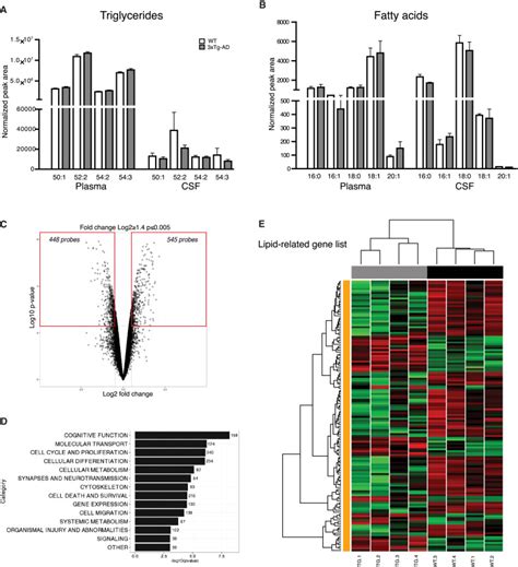 Aberrant Lipid Metabolism In The Forebrain Niche Suppresses Adult Neural Stem Cell Proliferation