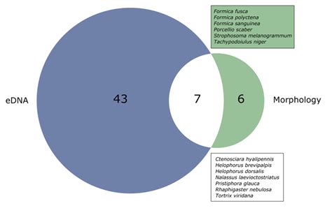 Number Of Species That Were Detected By Edna Metabarcoding Alone Download Scientific Diagram