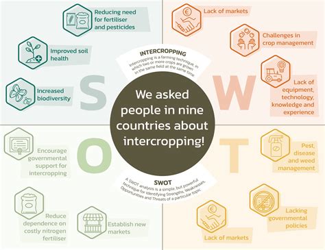 A Sustainable Agriculture Method Intercropping