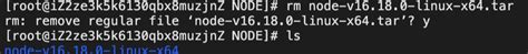 linux配置node环境 joyfulest 博客园