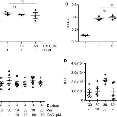 Endothelial And Epithelial Cells Bind Recombinant Sars Cov 2 Spike Download Scientific Diagram