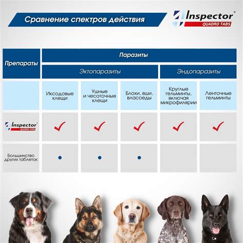 Таблетки для кошек и собак Inspector Quadro Tabs более 16кг купить по ...