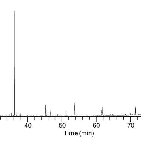 Gcms Total Ion Chromatogram Of Caragana Sinica Flower Absolute Showing