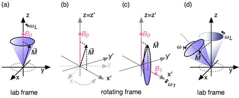 6 A The Magnetization Vector M Is Precessing Around The External