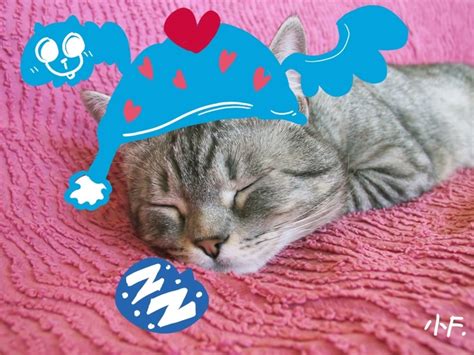 Zzzzzzzzzzzzzzzzzzzzzzzzzz Illustration Art Enamel Pins