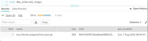 How To Load And Query Json Data In Snowflake Thinketl