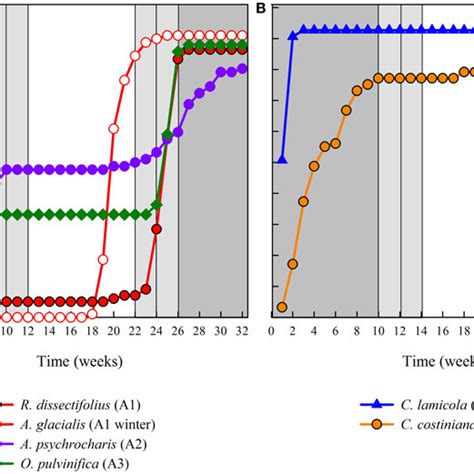 Cumulative Percentage Germination Of One Representative Species From