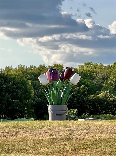Does This Tulip Thingy Have A Function Seen At Cuna Employee Gardens