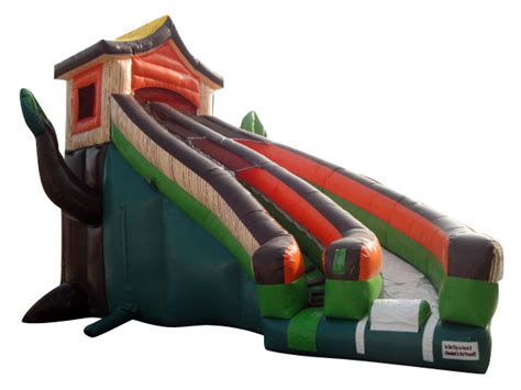 Ft Inflatable Slide Rental Maryland Virginia