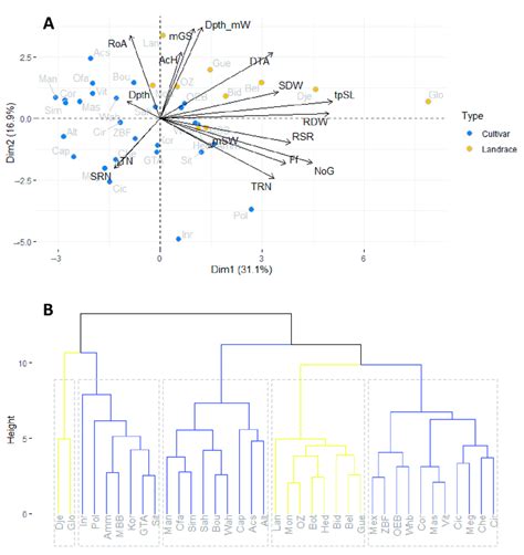 Biplot Of The Principal Component A And Hierarchical Analysis B Of