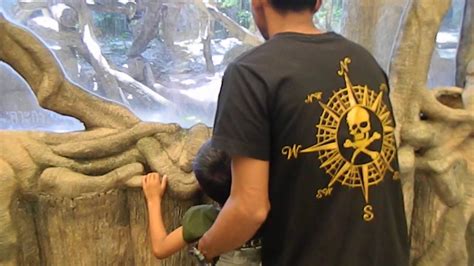 តោះទៅមើលសួនសត្វនៅថៃទាំងអស់គ្នា Youtube