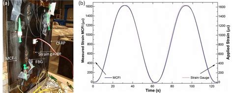A Photograph Of The Specimen Used To Test Our MCF Sensors The Download Scientific Diagram