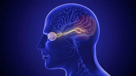 Medication Options For Nerve Block Columbus Anesthesia Services Medication Options For Nerve Block Columbus Anesthesia Services