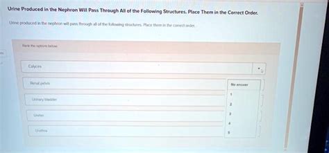 Urine Produced In The Nephron Will Pass Through All Of The Following Structures Place Them In