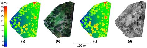 Individual Tree Canopy Parameters Estimation Using Uav Based Photogrammetric And Lidar Point