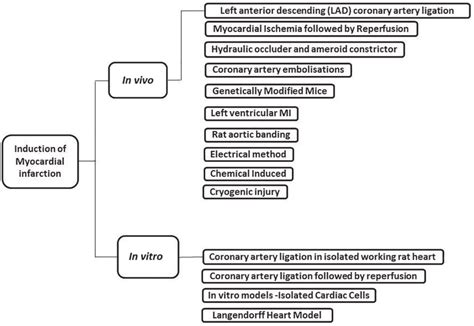 Various Methods For Induction Of Myocardial Infarction Download Scientific Diagram