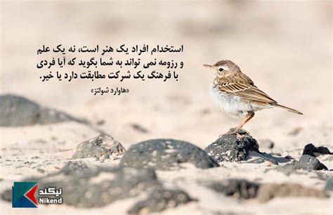 جملات زیبا در مورد علم و دانش بهترین سخنان کوتاه درباره علم و دانش