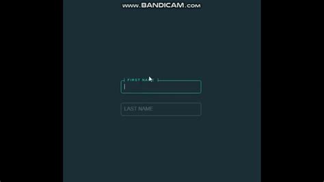 Css Input Field Text Animation Technology Guide Css Only Floating Label Youtube