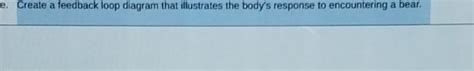 E Create A Feedback Loop Diagram That Illustrates The Bodys Response To Encountering A Bear