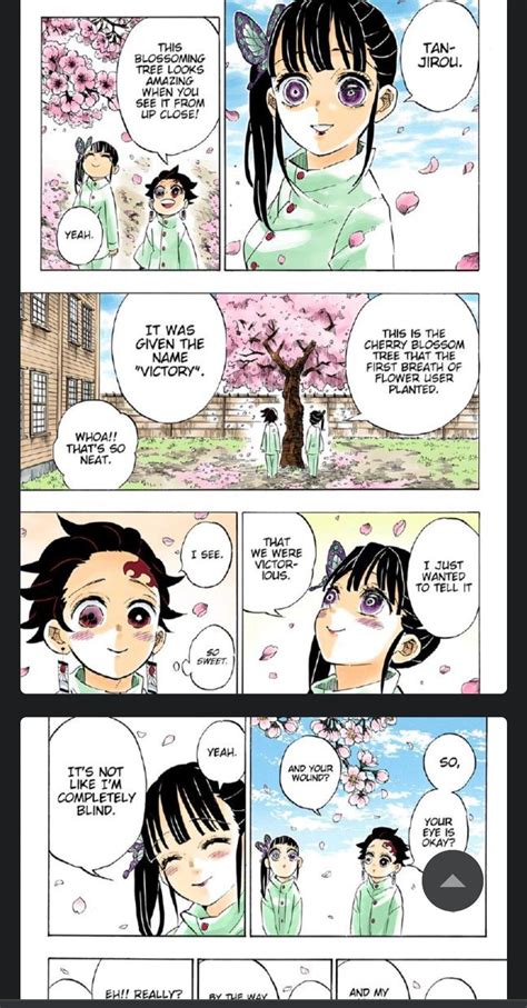 Tanjiro X Kano