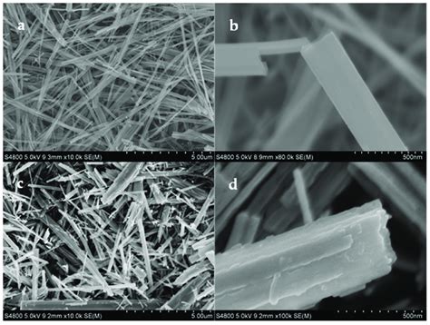 Representative Sem Micrographs Of Ab Tio2 And Cd Ho2o3 Tio2