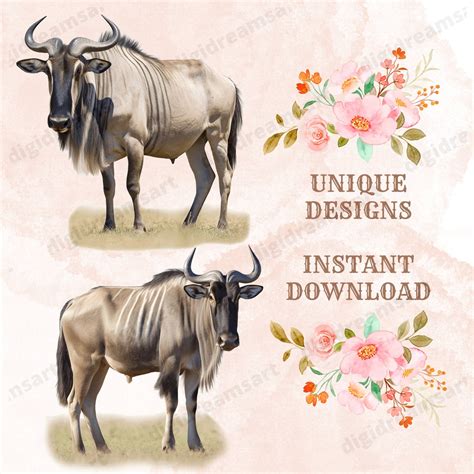 Gnu Clipart Bundle Transparent PNG Collection Digital Etsy