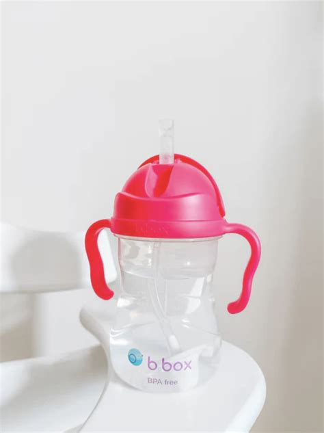What Every Parent And Baby Needs Bbox Water Bottle And Bbox Dummies Review Quest Magazine