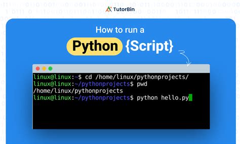 How To Run Basic Python Scripts And Code