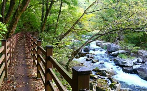 장수 출신 연예인 프로필 모음 아이돌 가수 배우 여배우 남배우 여자 배우 남자 배우 남자 연예인 여자 연예인