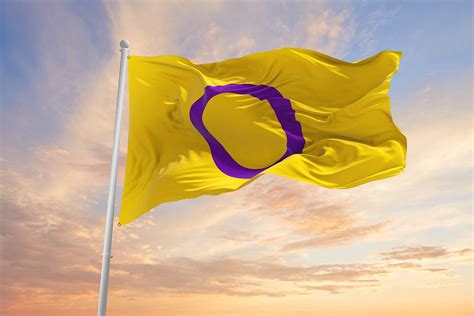 How To Be An Ally To Intersex People Idahobit