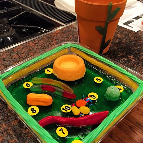 Cell Model Science Project